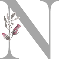 Letter N Monogram | Customize Online | Instant Download