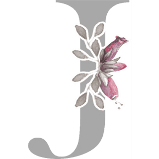 Letter J Monogram | Customize Online | Instant Download